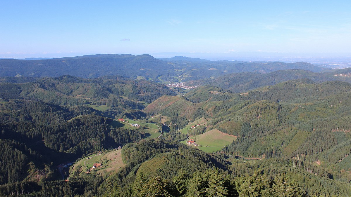 Buchkopfturm - Oppenau-Maisach / Schwarzwald - Blick nach Westen - Foto ...