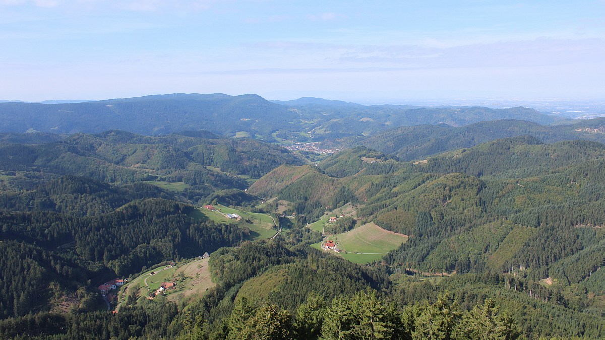 Buchkopfturm - Oppenau-Maisach / Schwarzwald - Blick nach Westen - Foto ...