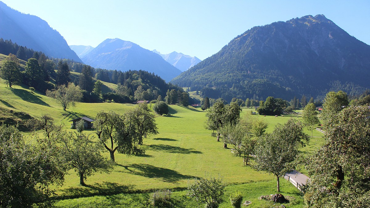 Oberstdorf / Scheibenhaus - Blick nach Süden - Foto-Webcam.eu